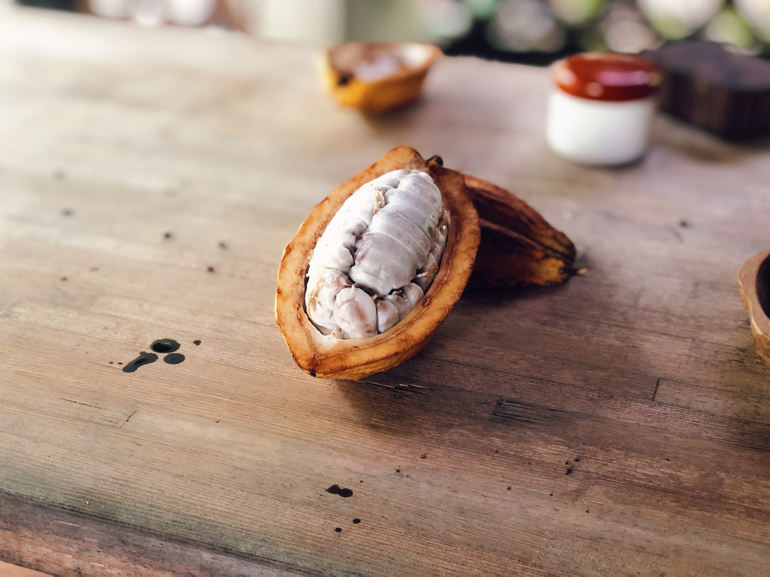 La Maison du Cacao en Guadeloupe, visite Gourmandes - To the moun